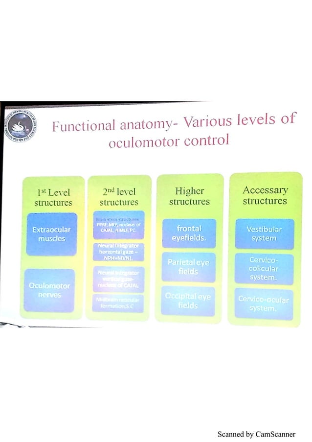 Eye movements in neurological examination : Nystagmus | PDF