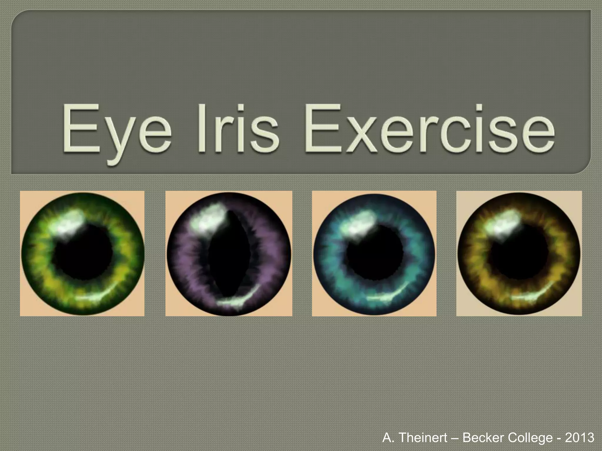Eye iris exercise | PPTX | Painting | Arts and Crafts