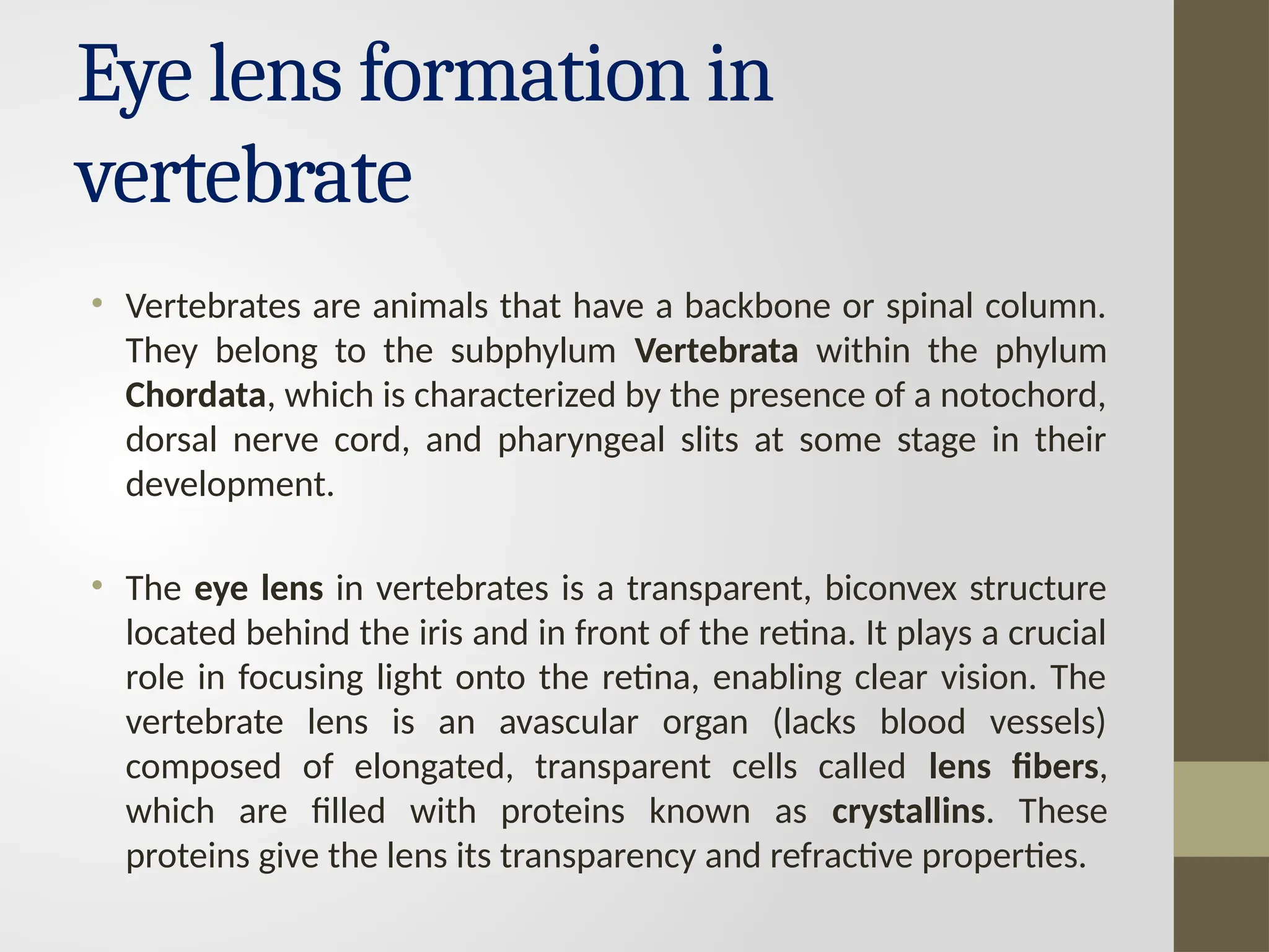 Eye lens formation in vertebrate - Dr.M.Jothimuniyandi | PPTX