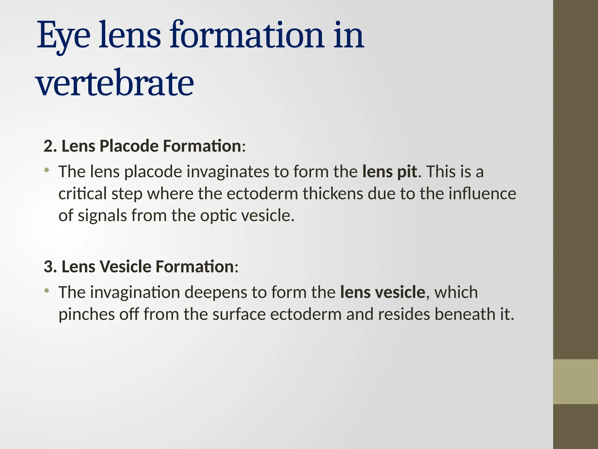 Eye lens formation in vertebrate - Dr.M.Jothimuniyandi | PPTX