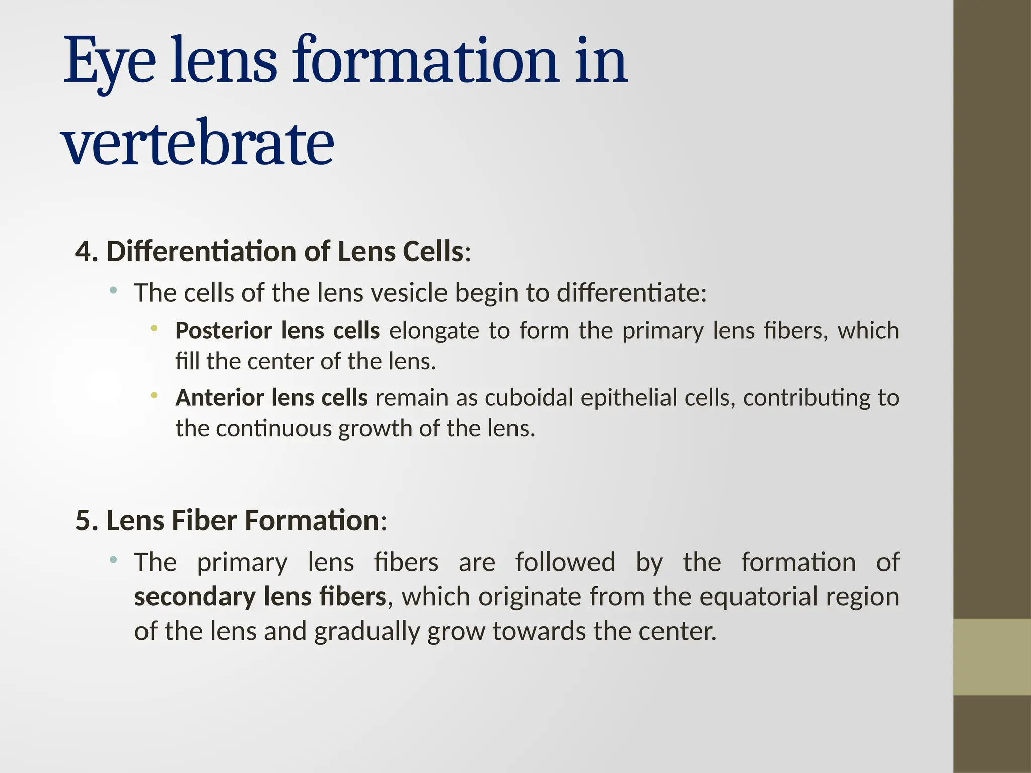Eye lens formation in vertebrate - Dr.M.Jothimuniyandi | PPTX