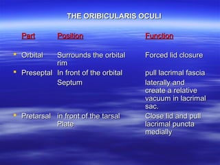 eyelid alnatomy | PPT
