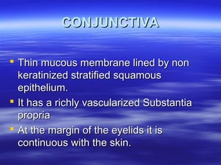 eyelid alnatomy | PPT