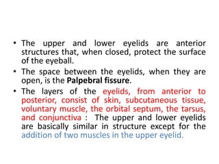 Eye_Lid.pptx