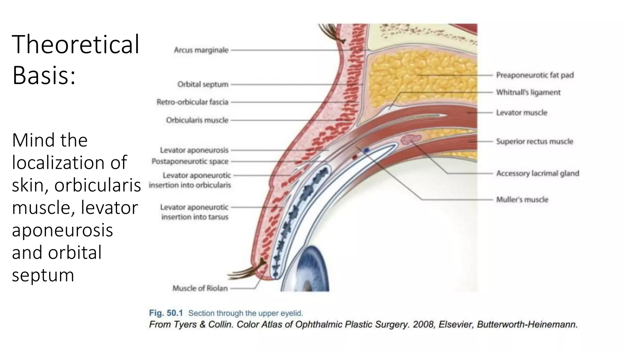 Eyelid abscess drainage | PPTX