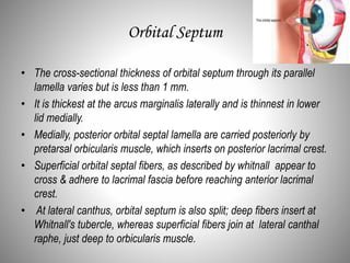 Eye lid anatomy | PPTX