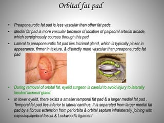 Eye lid anatomy | PPTX