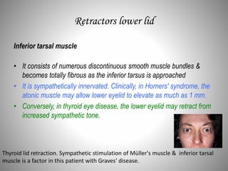 Eye lid anatomy | PPTX