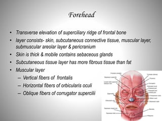 Eye lid anatomy | PPTX