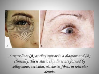 Eye lid anatomy | PPTX