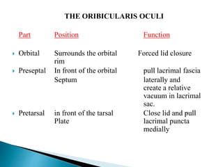 eyelidanatomy-191031111050 in detail with anatomy | PPT