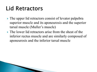 eyelidanatomy-191031111050 in detail with anatomy | PPT