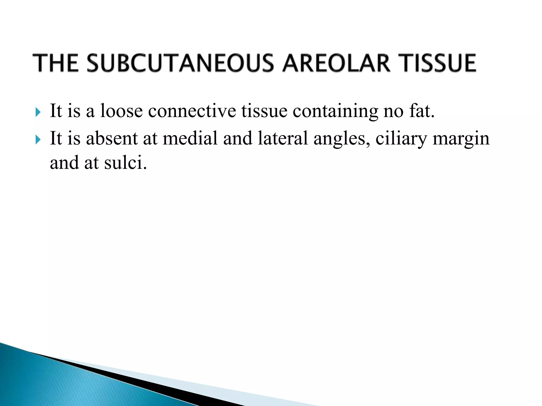 eyelid anatomy slideshare | PPTX