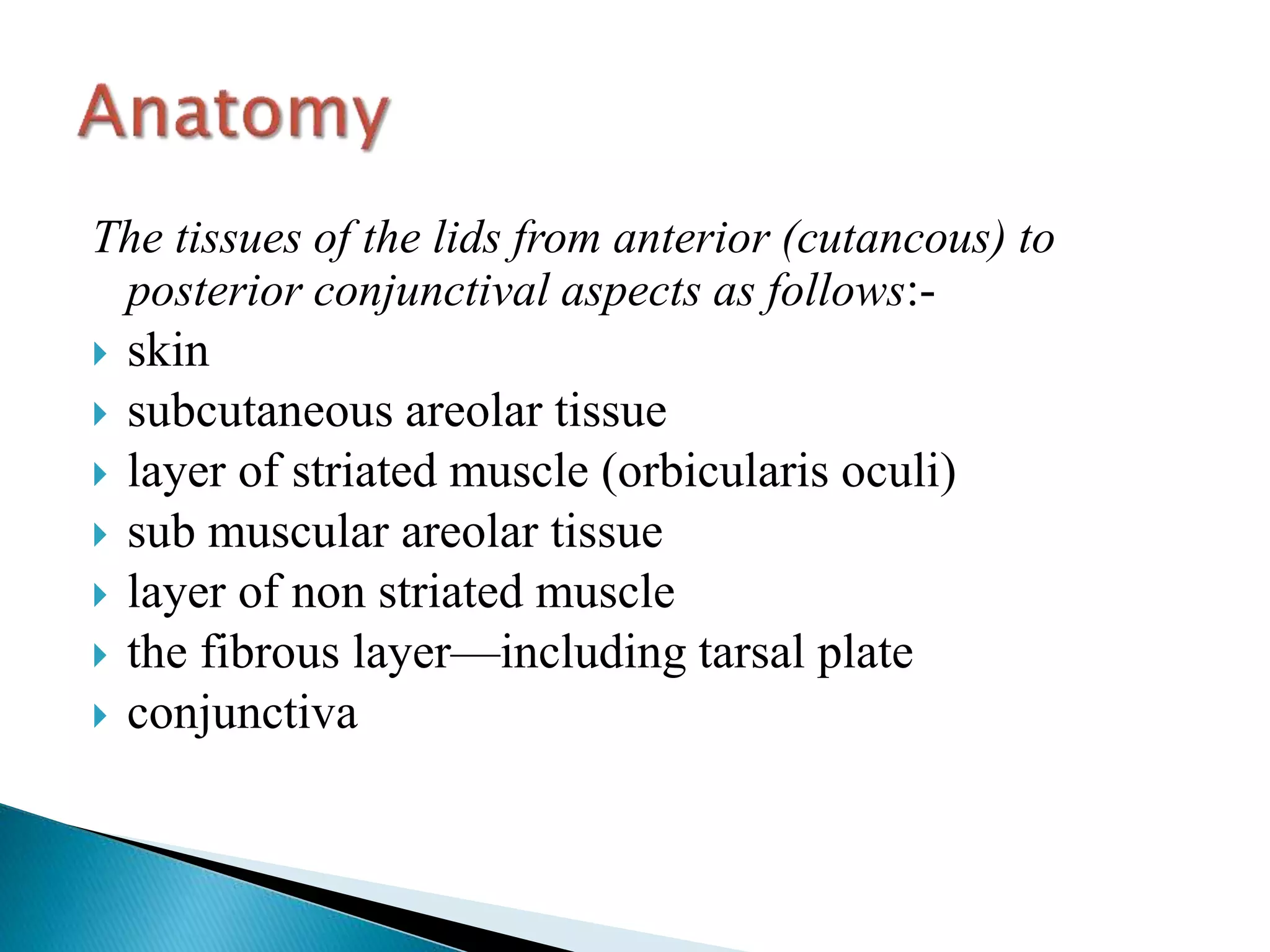 eyelid anatomy slideshare | PPTX