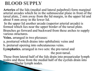 eyelid anatomy slideshare | PPTX