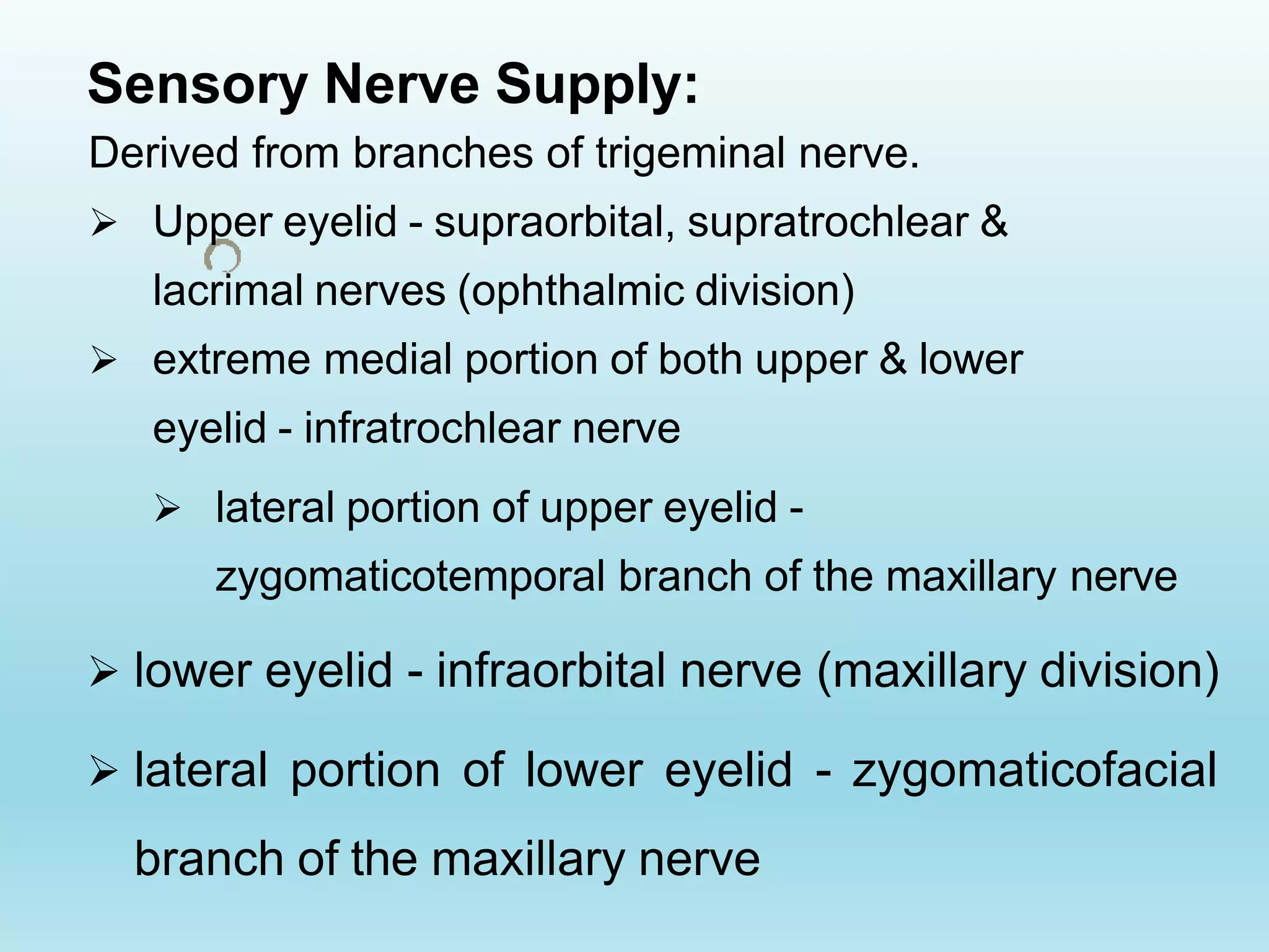 Eyelid Anatomy-2.pptx