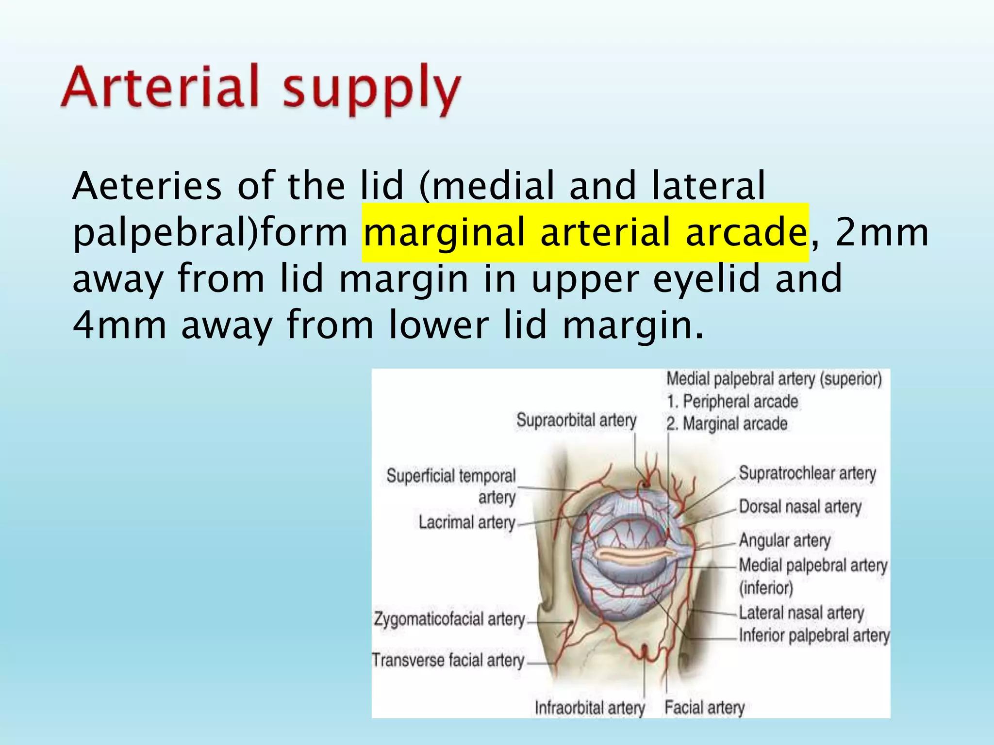 Eyelid Anatomy-2.pptx