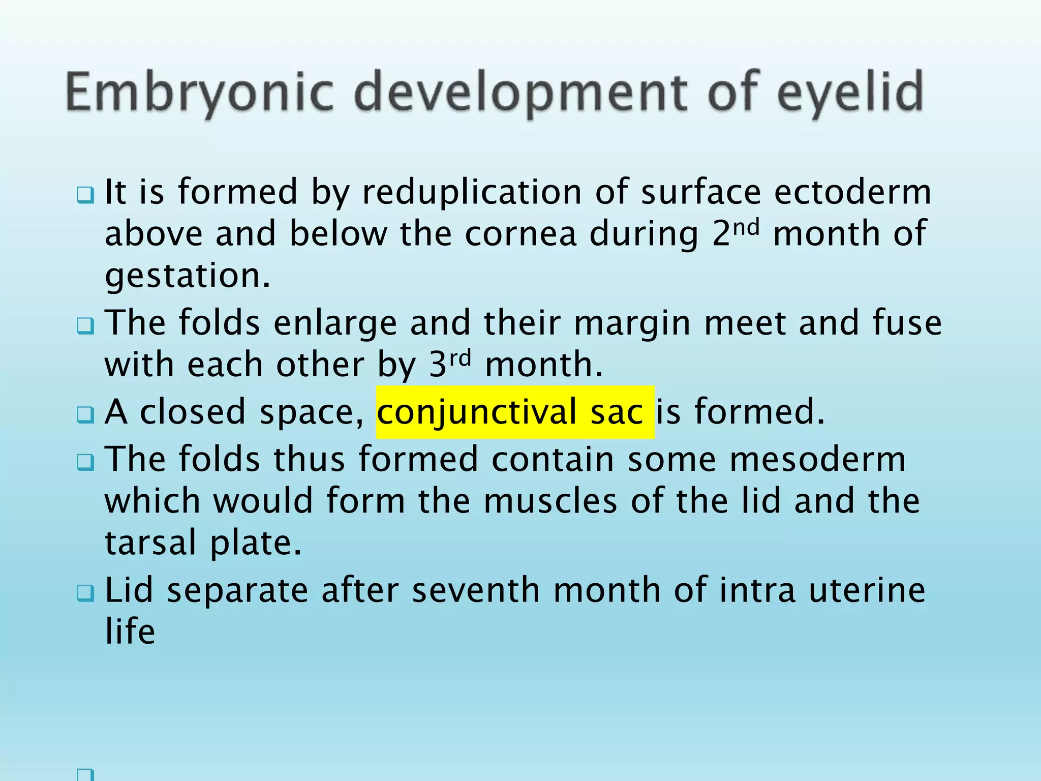 Eyelid Anatomy-2.pptx