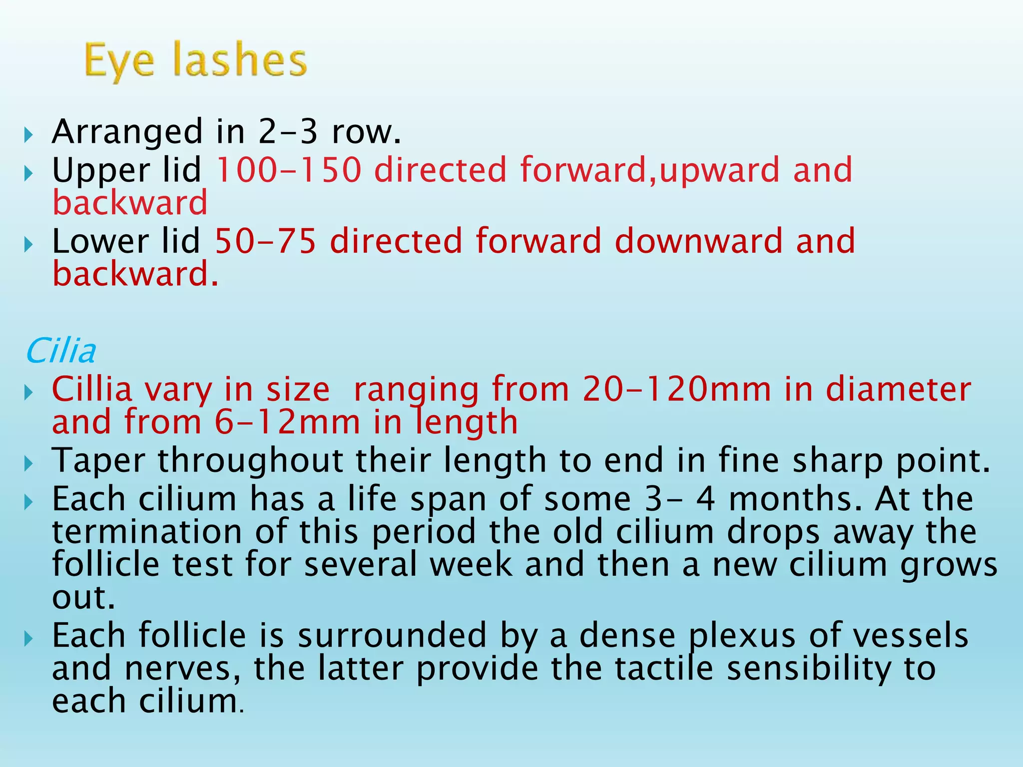 Eyelid Anatomy.pptx