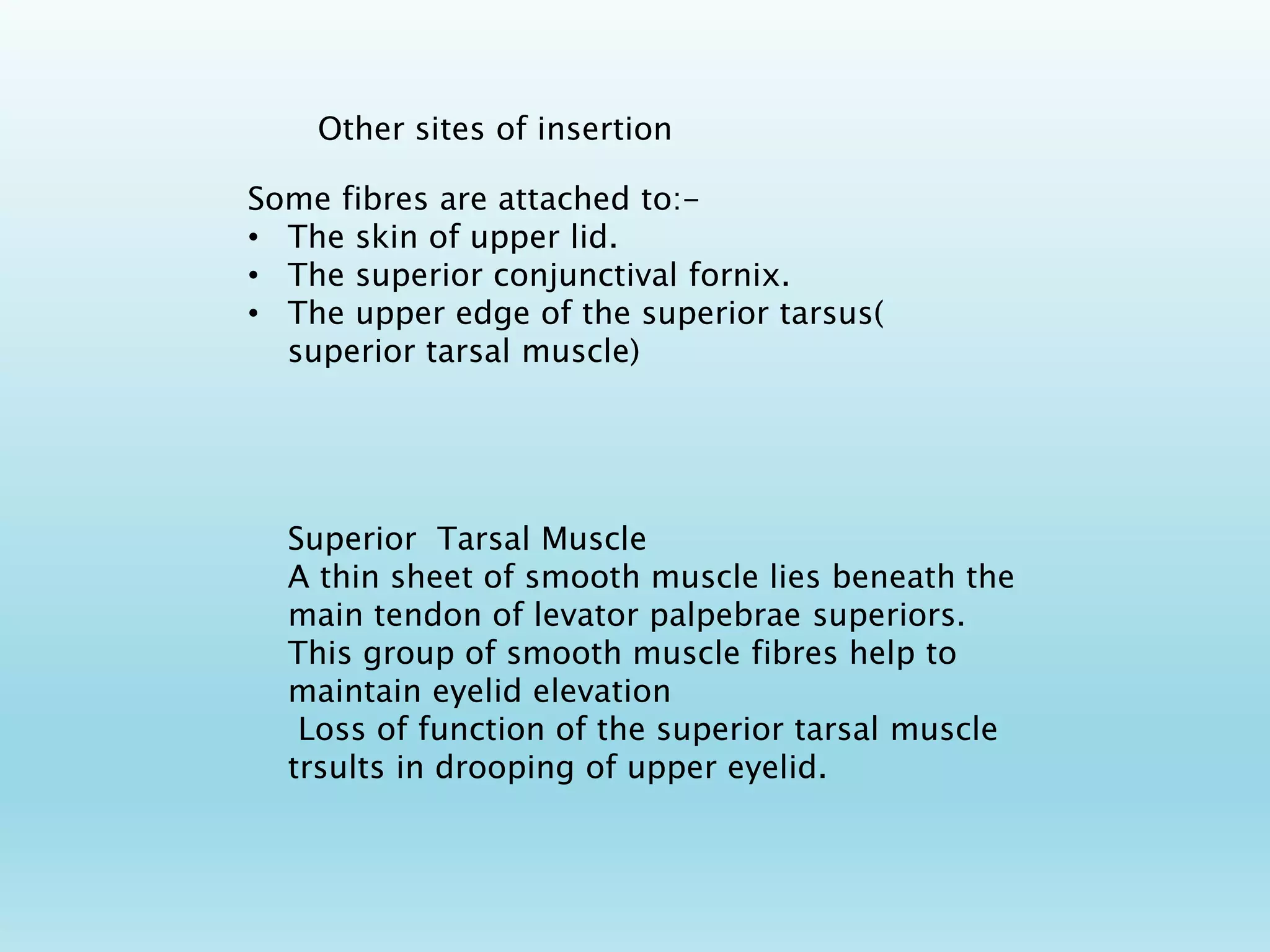 Eyelid Anatomy.pptx