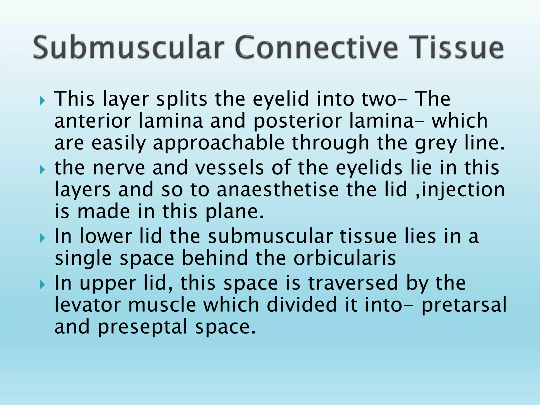 Eyelid Anatomy.pptx