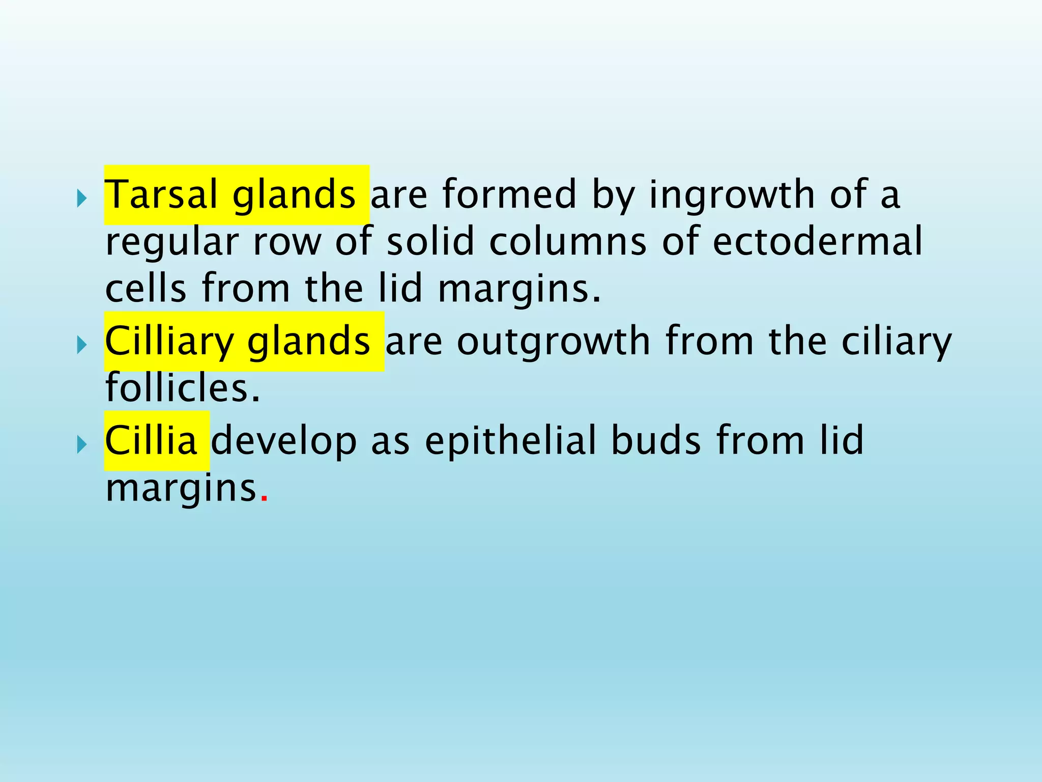 Eyelid Anatomy.pptx