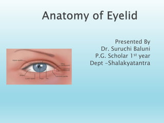 Eyelid Anatomy.pptx