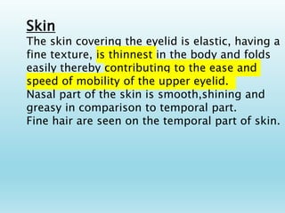 Eyelid Anatomy.pptx