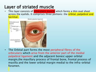 Eyelid Anatomy.pptx