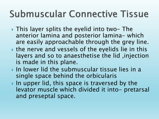 Eyelid Anatomy.pptx