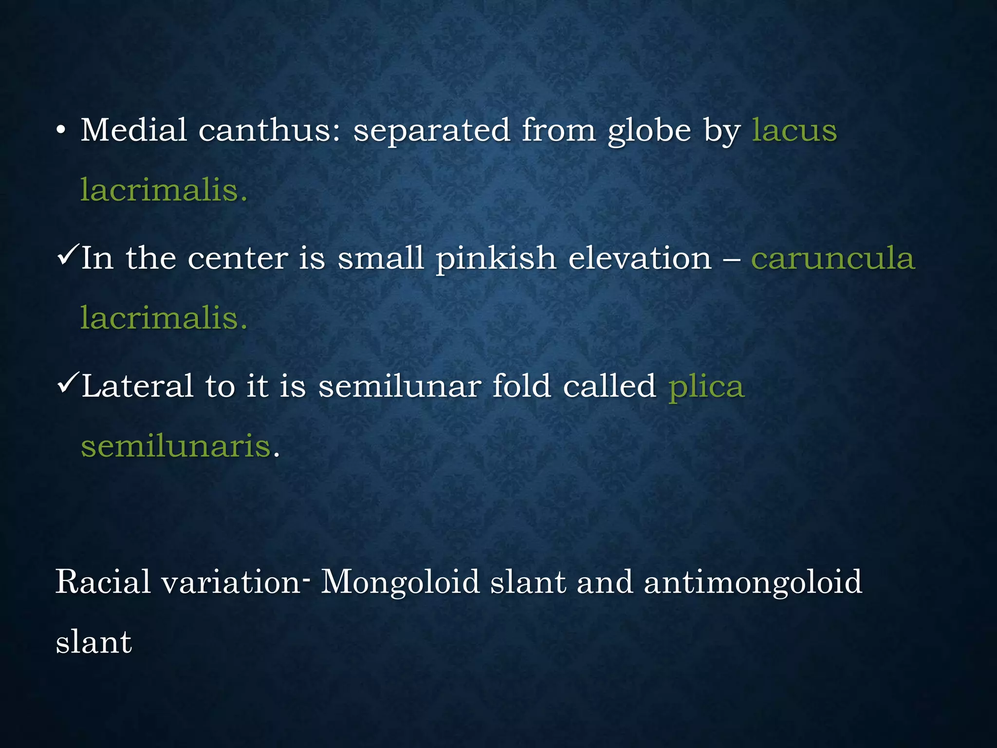 Eyelid anatomy and physiology | PPTX