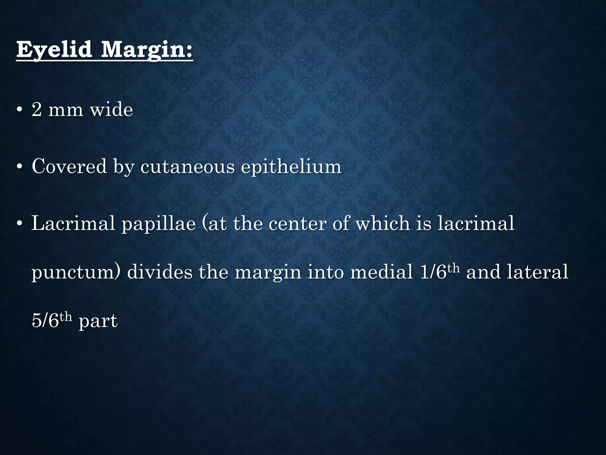 Eyelid anatomy and physiology | PPTX