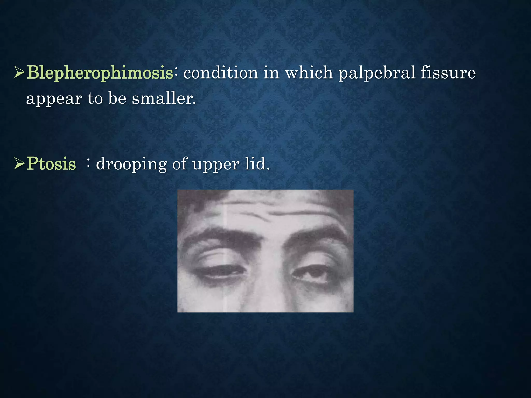 Eyelid anatomy and physiology | PPTX