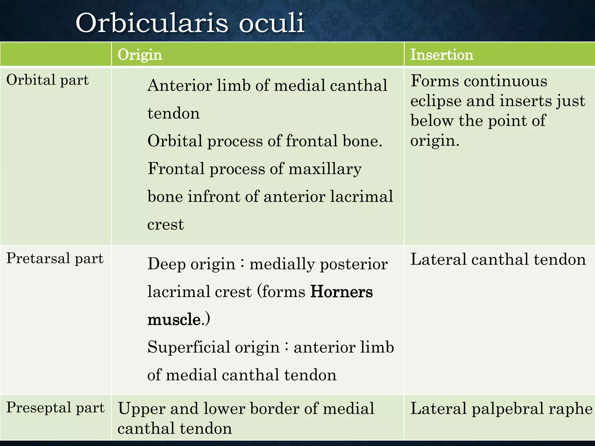 Eyelid anatomy and physiology | PPTX