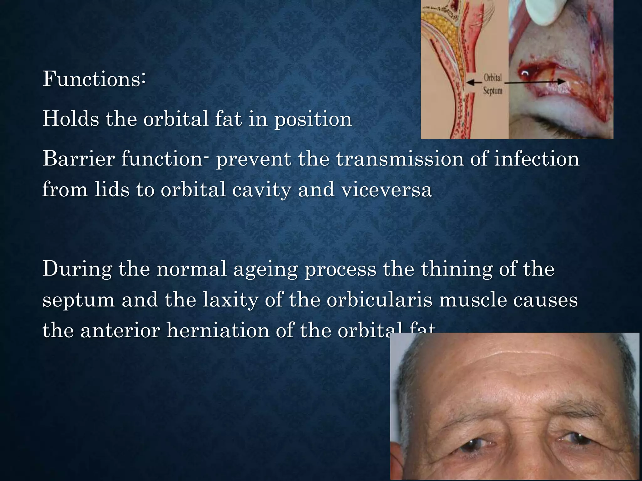Eyelid anatomy and physiology | PPTX