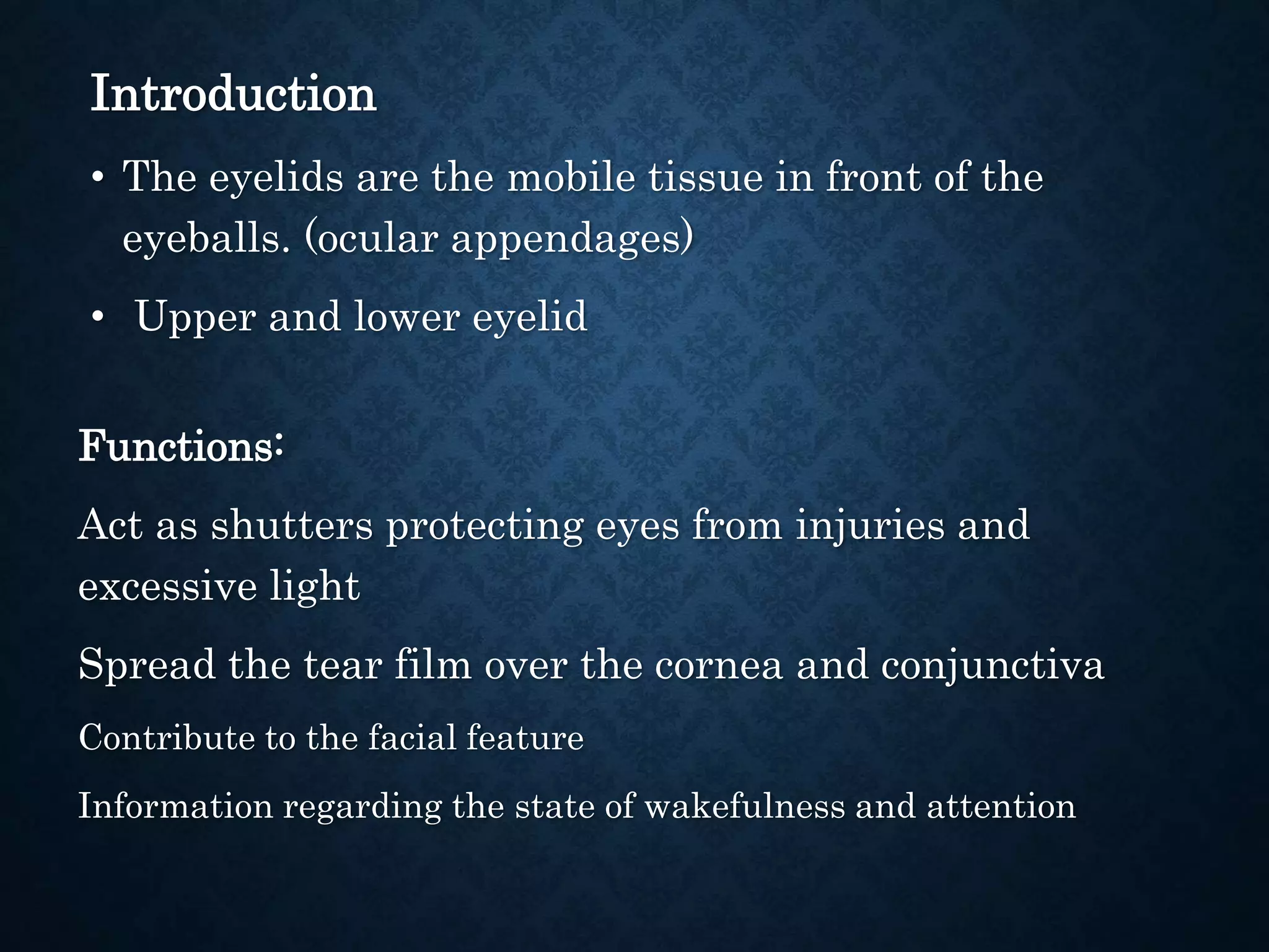 Eyelid anatomy and physiology | PPTX
