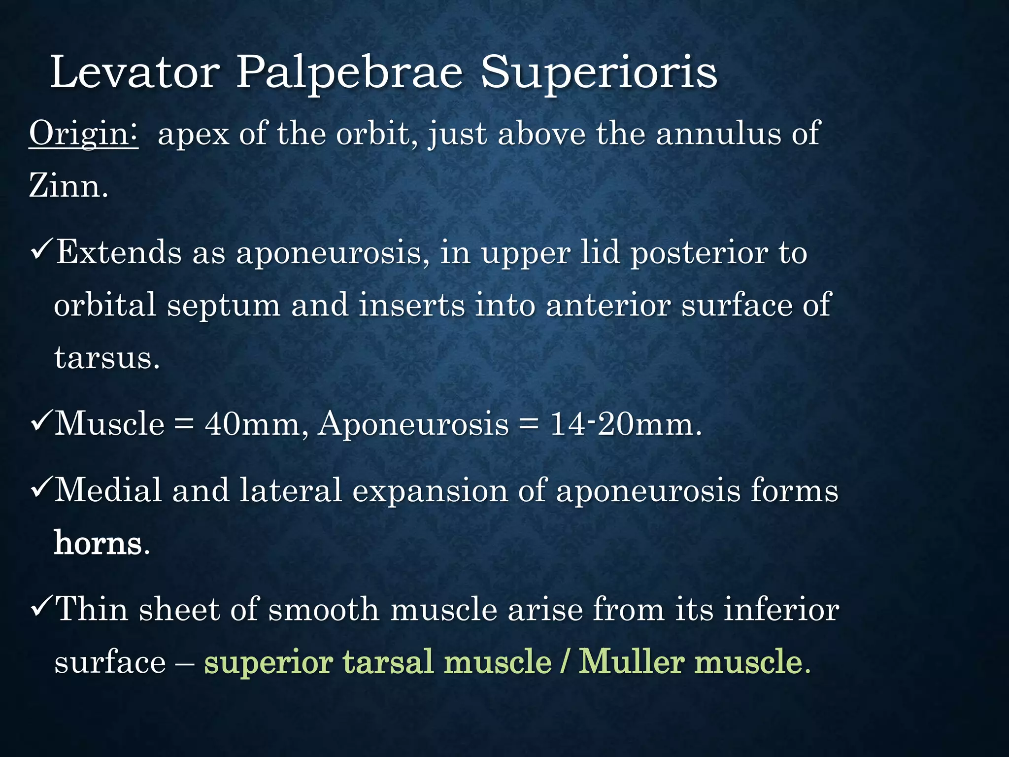 Eyelid anatomy and physiology | PPTX