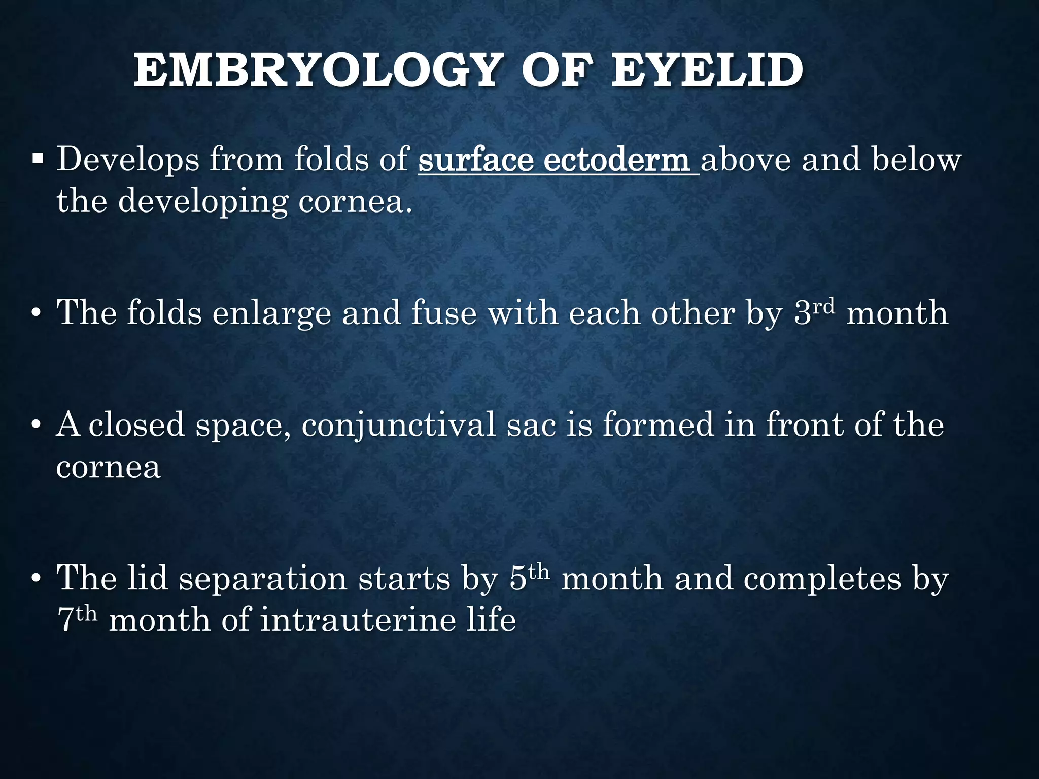 Eyelid anatomy and physiology | PPTX