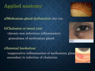 Eyelid anatomy and physiology | PPTX