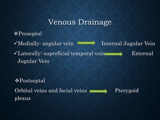 Eyelid anatomy and physiology | PPTX