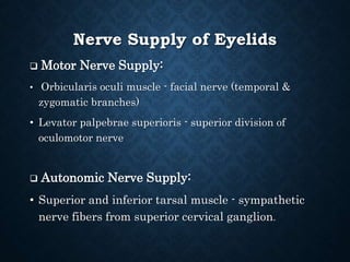 Eyelid anatomy and physiology | PPTX