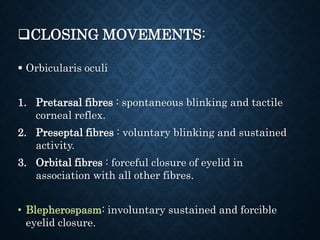 Eyelid anatomy and physiology | PPTX