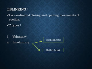 Eyelid anatomy and physiology | PPTX