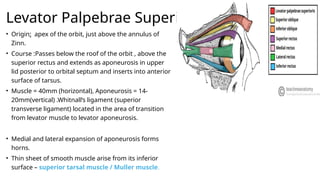 EYELID ANATOMY AND PHYSIOLOGY AND APPLIED.pptx
