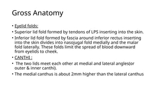 EYELID ANATOMY AND PHYSIOLOGY AND APPLIED.pptx