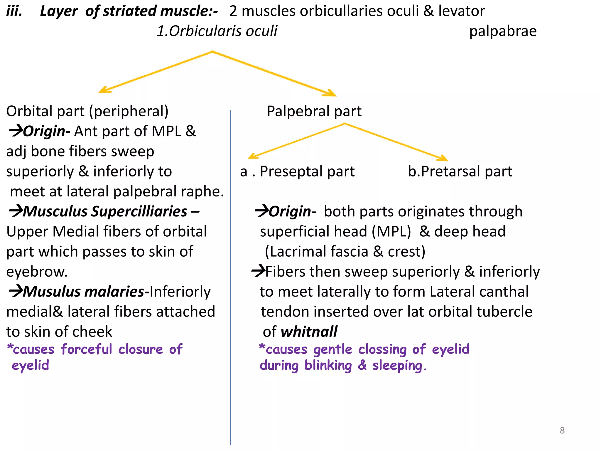 Eyelid anatomy & lacrimal pump physiology | PPTX