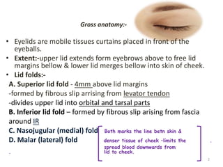 Eyelid anatomy & lacrimal pump physiology | PPTX