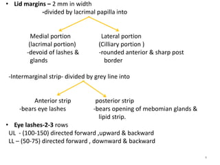 Eyelid anatomy & lacrimal pump physiology | PPTX
