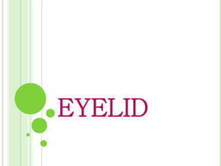 ANATOMY & PHYSIOLOGY OF EYE LID FOR CONTACT LENS FITTING.pdf