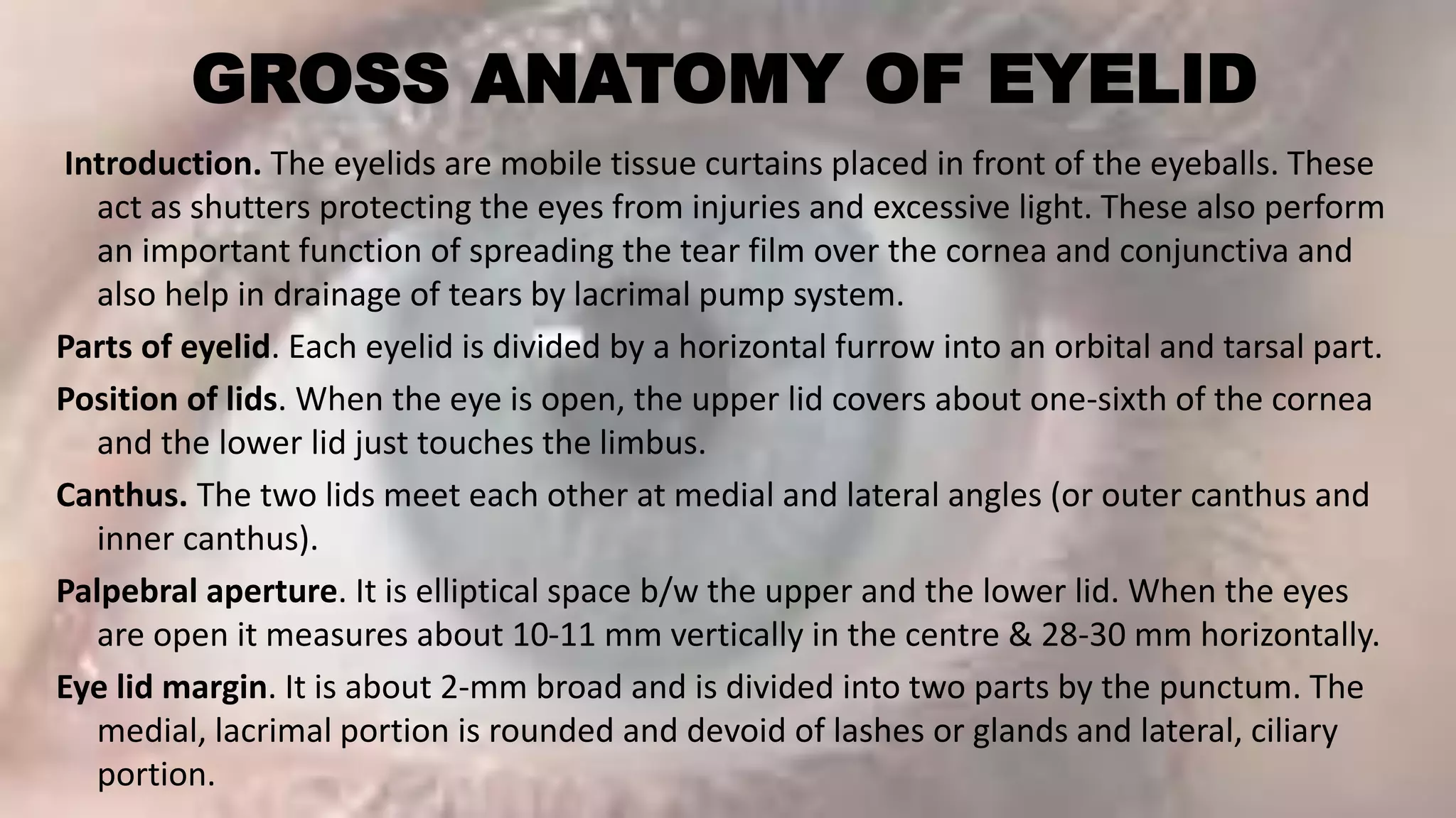 Diseases of eyelid.pptx